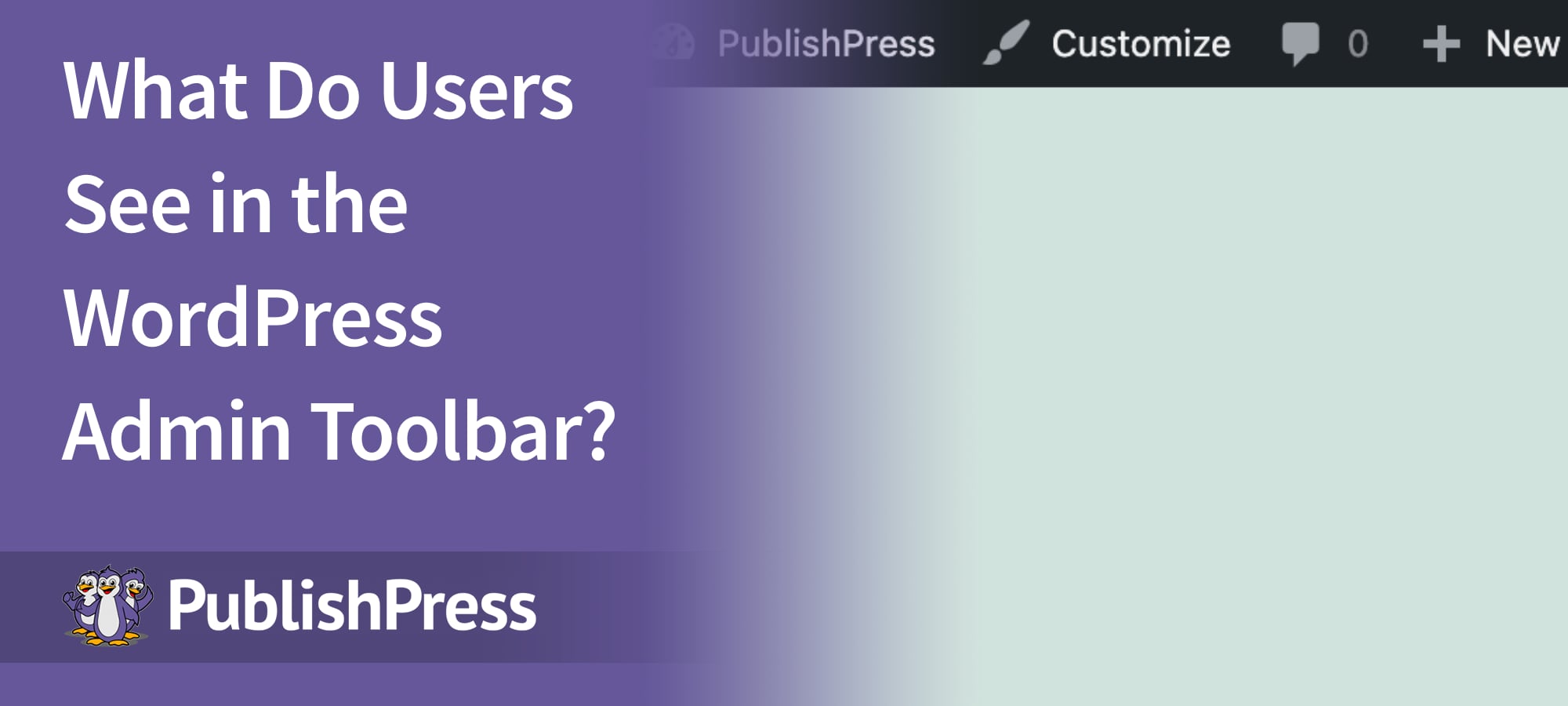 What Do WordPress Users See in the Admin Toolbar? - PublishPress